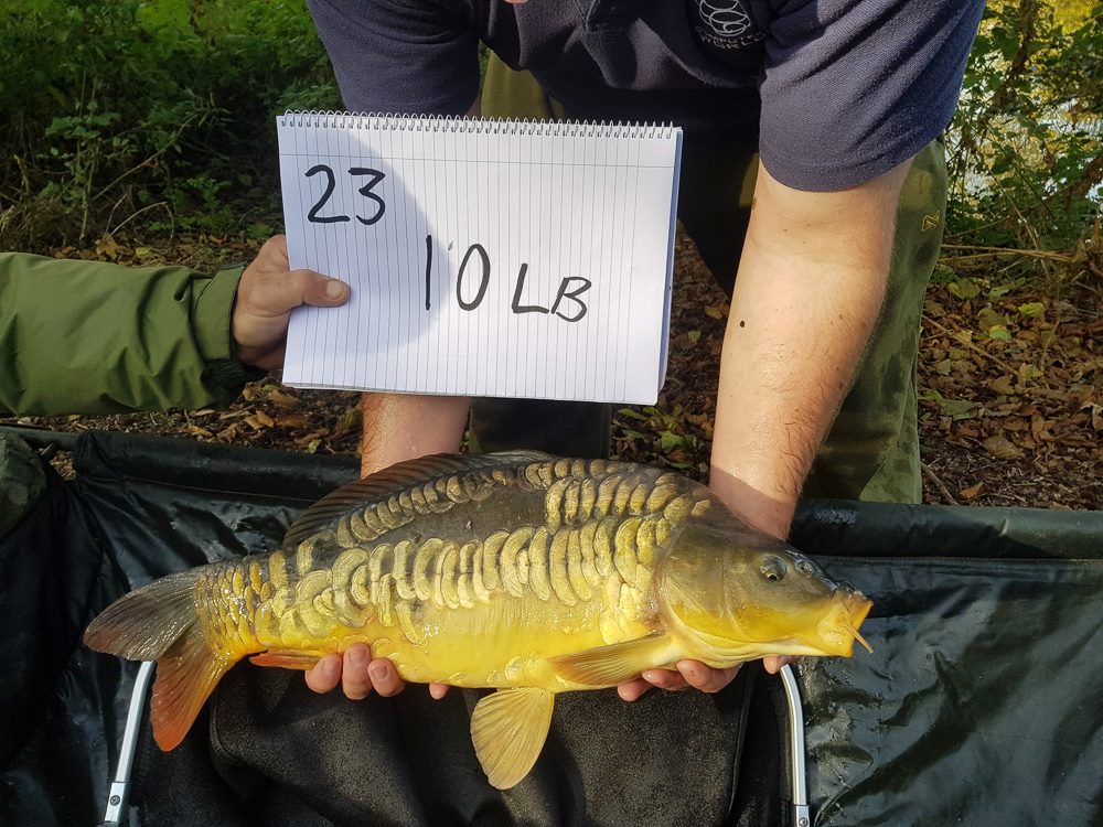 Chelmsford Angling Association Gallery