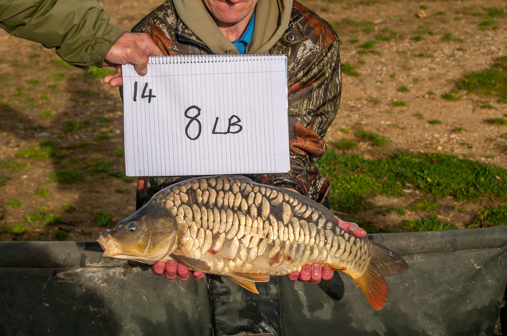 Chelmsford Angling Association Gallery
