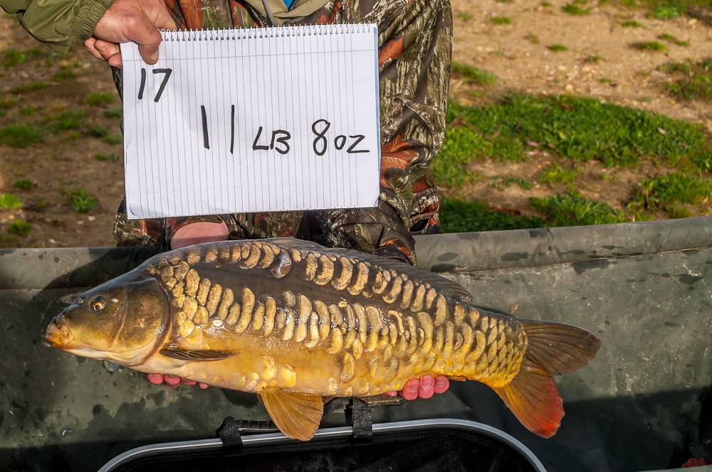 Chelmsford Angling Association Gallery