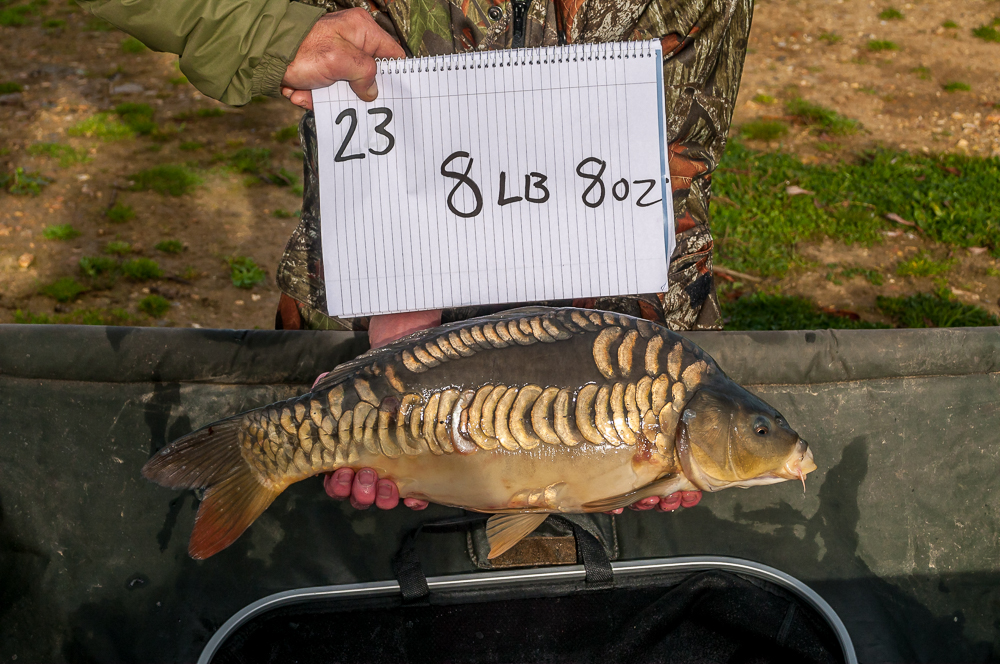Chelmsford Angling Association Gallery