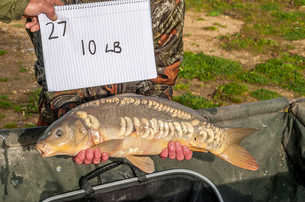 Chelmsford Angling Association Gallery